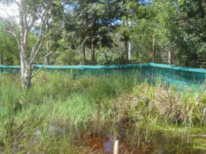 Wildlife Exclusion Fencing | Fencescape Fencing