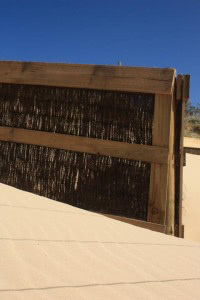 Marcoola Sand Dune Fence