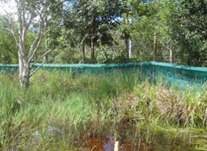 Residential Fencing Solutions | Fencescape Fencing